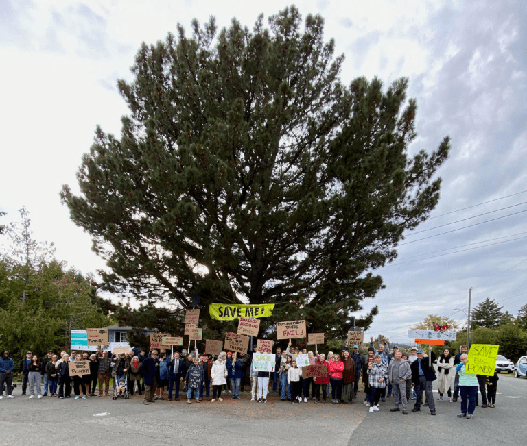 STOP the Proposed Development at 1899 Cochrane Street, by Dave Secco ...